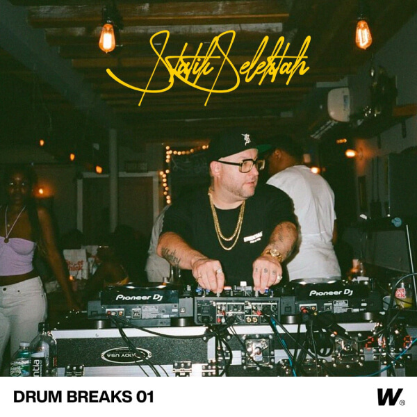 WAVS - High Quality Samples, Packs & MIDI | wavs.com